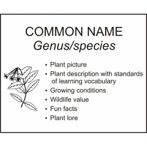 Custom Plant Sign - Smart Garden Signs